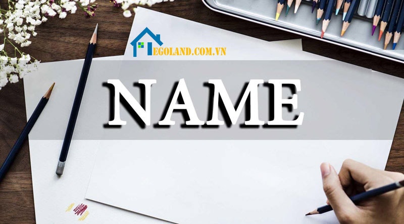 What’s in a Name? - Paralegal Support 101